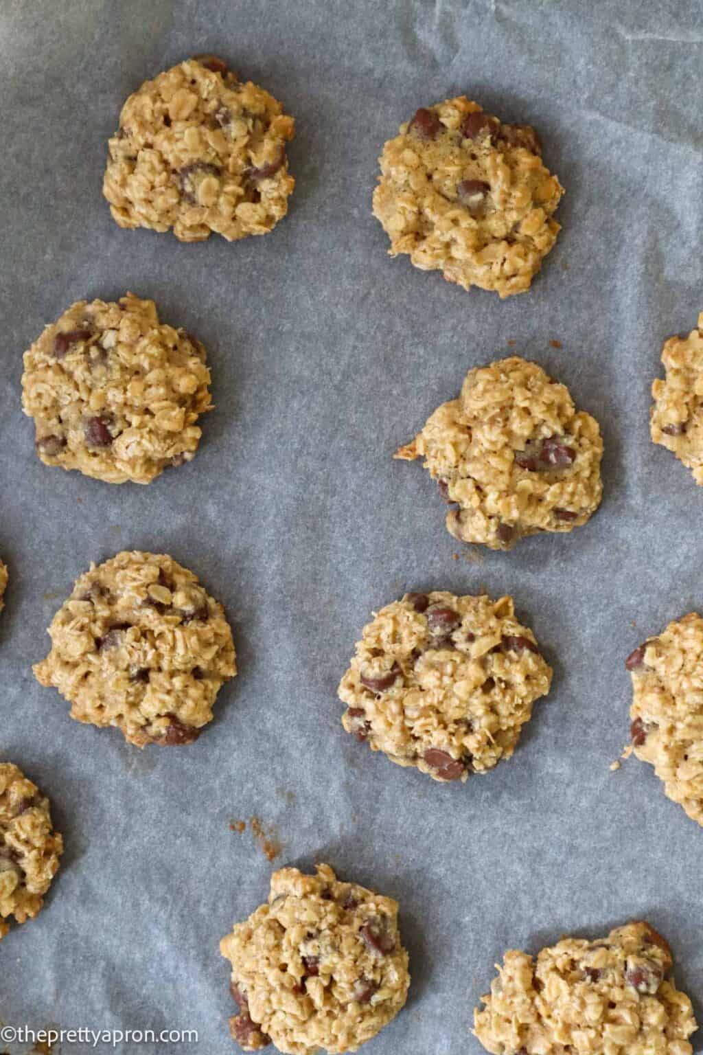 The Best Oatmeal Chocolate Chip Cookies without Brown Sugar ...